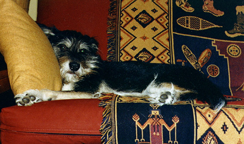 The Front Page: David M. Lawrence's Media, Art, and Text Test Range